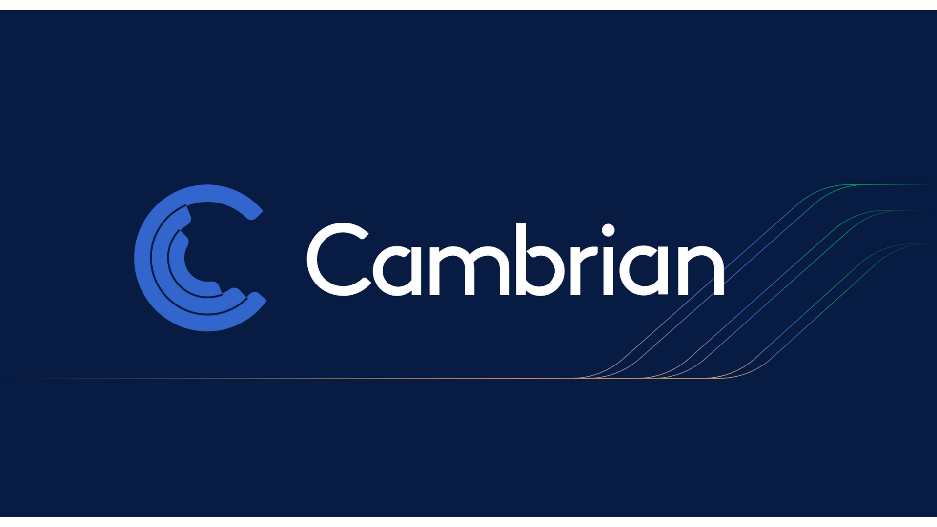 Cambrian — ICLUB Portfolio